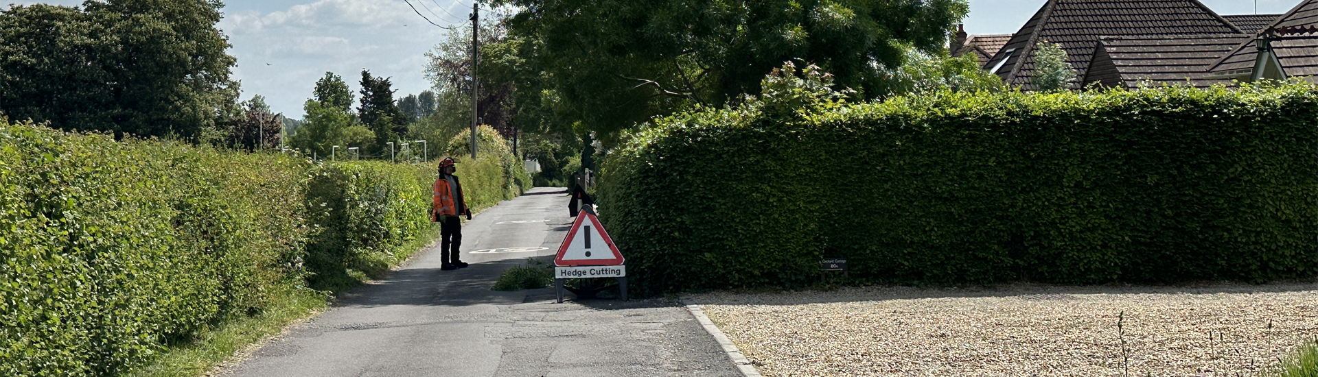 Hedge Services | Tree Technique | Expert Tree Surgeon, Andover